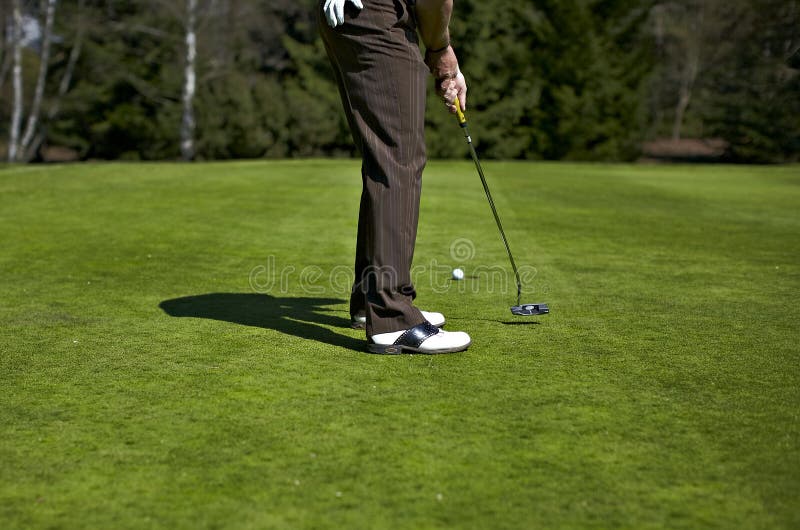 Man Putting at a Hole at the Golf Course Stock Image - Image of nature ...