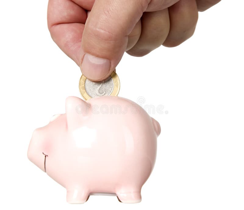 Man is Putting Money into Saving Pig Stock Photo - Image of save ...
