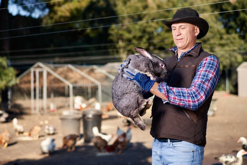 Man with Rabbit. Farmer Holds Bunny in Farm. Stock Image - Image of ...
