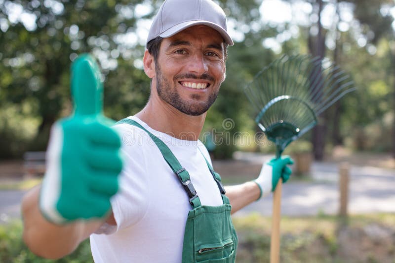Man with Rake for Autumn Leaves Clean-up Showing Thumb-up Stock Image ...