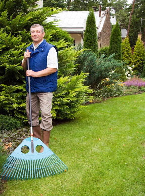 Man raking garden stock photo. Image of landscaping, growth - 11042116