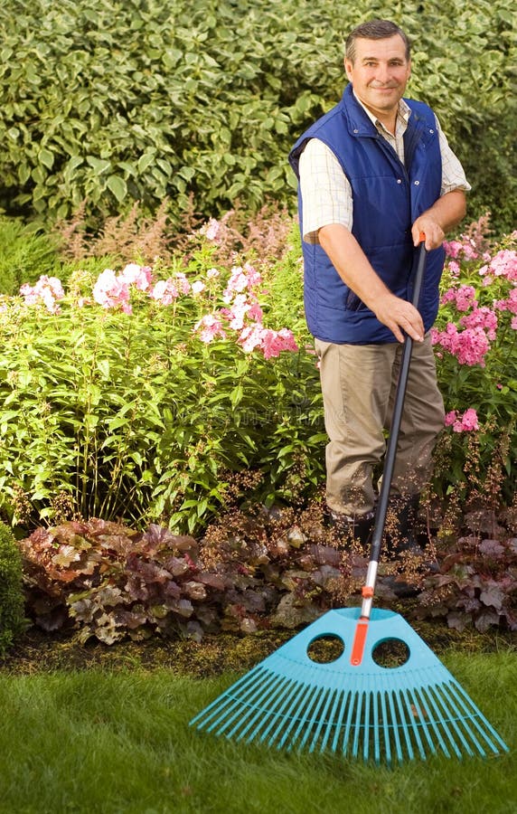 Man raking garden stock photo. Image of nursery, happy - 10899054