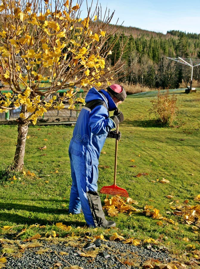 Man Raking Stock Images - Download 935 Royalty Free Photos