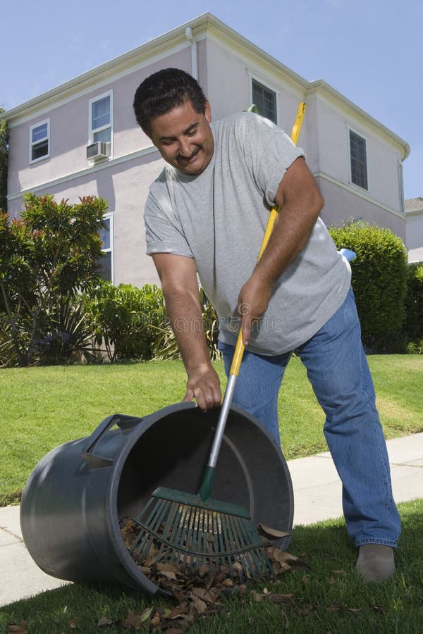 Man Raking Leaves in Garden Stock Photo - Image of leisure, chores ...