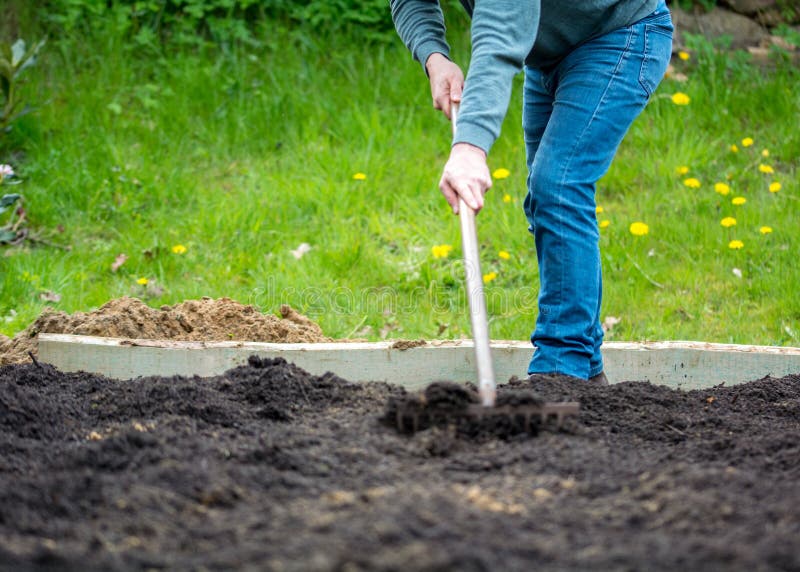 Raking the soil stock photo. Image of green, activity, dirt - 69156