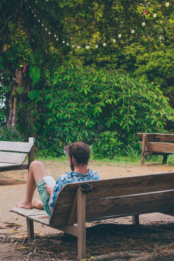 Man Reading Book Sitting On Bench Near Trees Stock Image - Image of ...