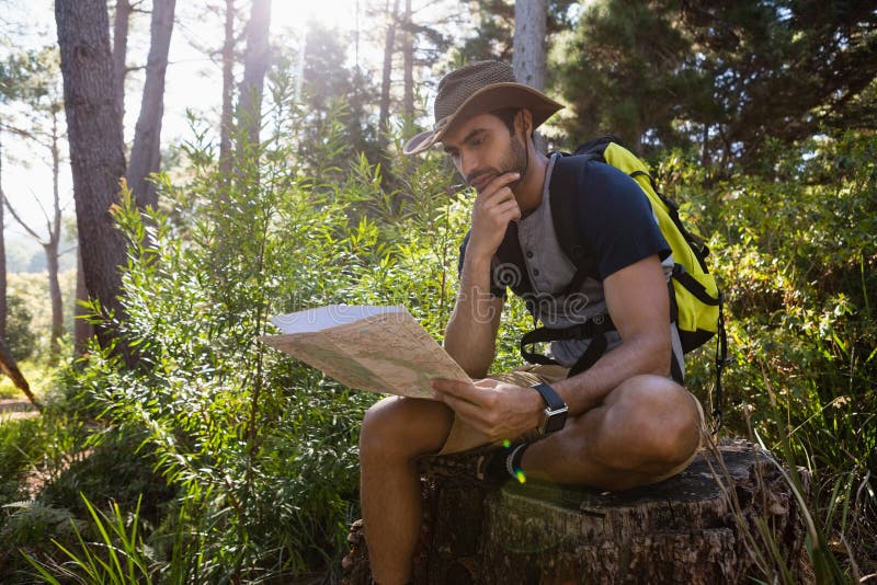 Man Reading the Map while Resting on the Tree Stump Stock Photo - Image ...