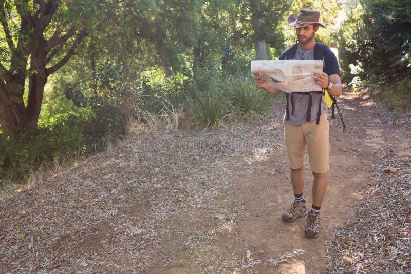 Man Reading the Map while Walking in the Forest Stock Image - Image of ...