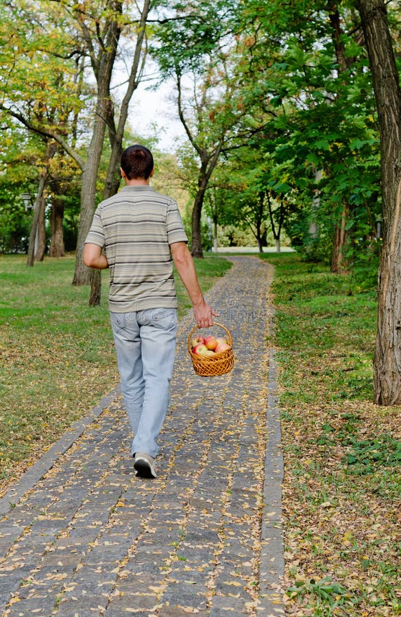 Man rear view stock image. Image of lifestyle, casual - 29338891