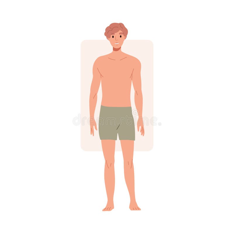 Man with Rectangle Body Shape. Male Portrait with Rectangular Figure ...