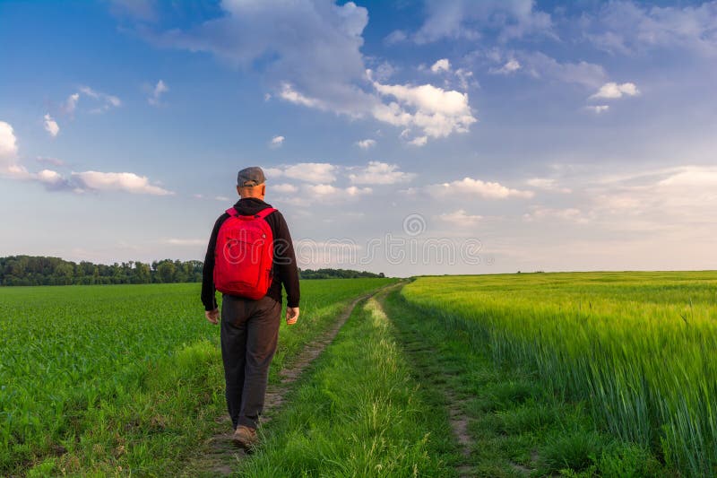 A Man with a Red Backpack Walks Along a Country Road among Fields Stock ...