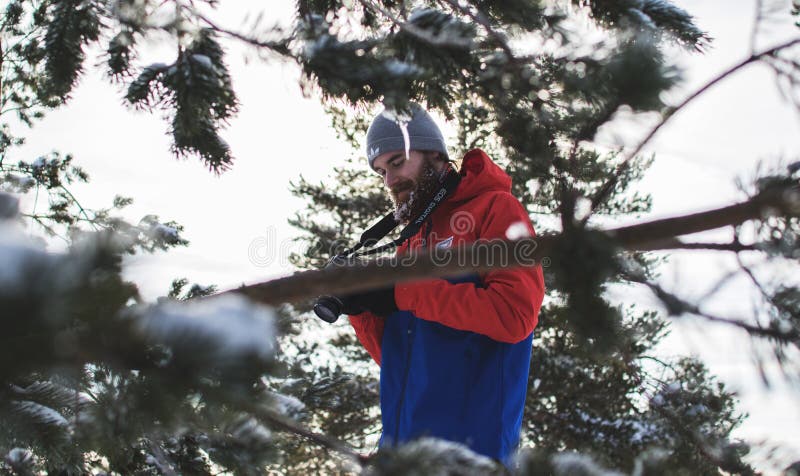 Man in Red and Blue Jacket Near Trees Stock Photo - Image of daylight ...