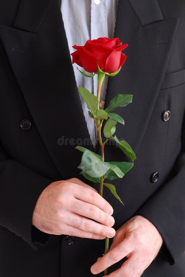 Man red rose stock photo. Image of giving, person, offer - 1683864