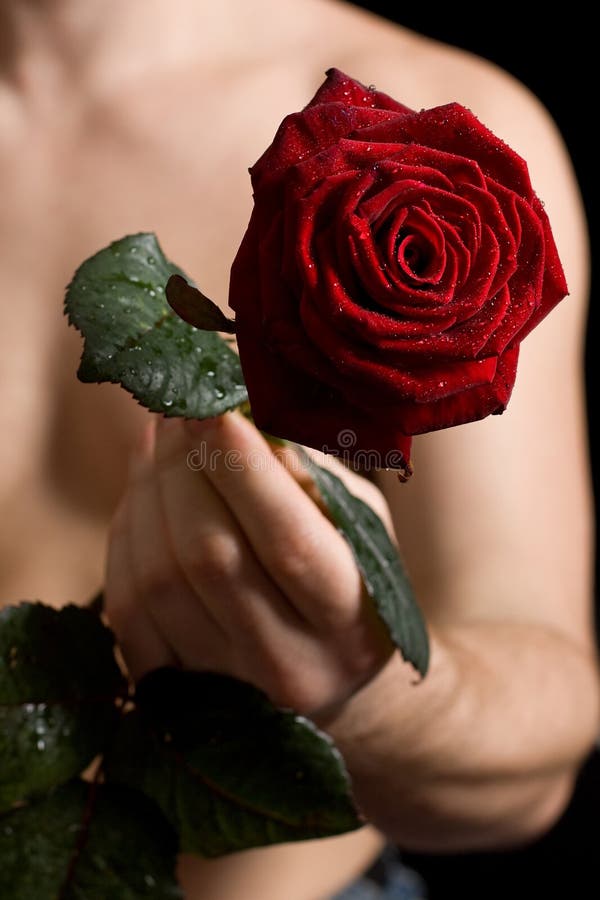 The Man with a Red Rose in Hands Stock Photo - Image of people, passion ...