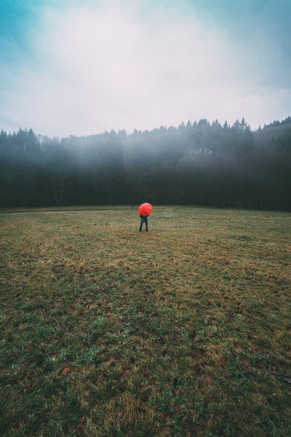 Man with Red Umbrella in Field Stock Photo - Image of morning, dusk ...