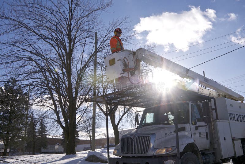 Man Removing Branches from the Trunks of Fallen Trees with the Cherry ...