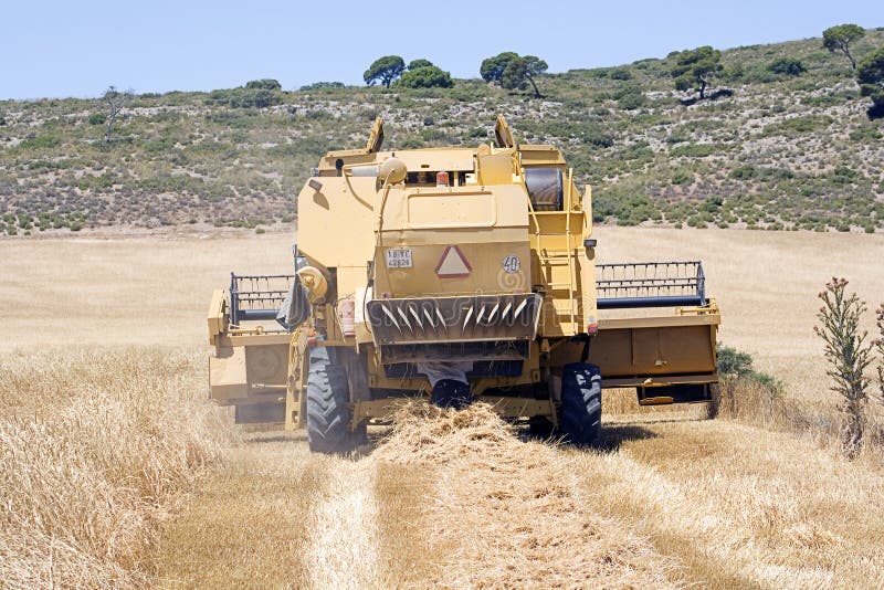 Man Repairing a Combine Harvester Stock Photo - Image of harvesting ...