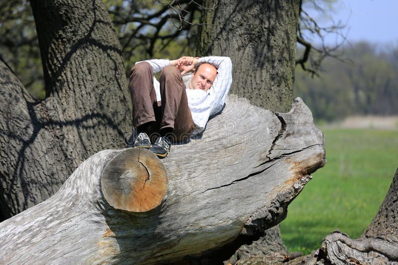 Man rest on old tree stock image. Image of looking, outdoors - 68385109