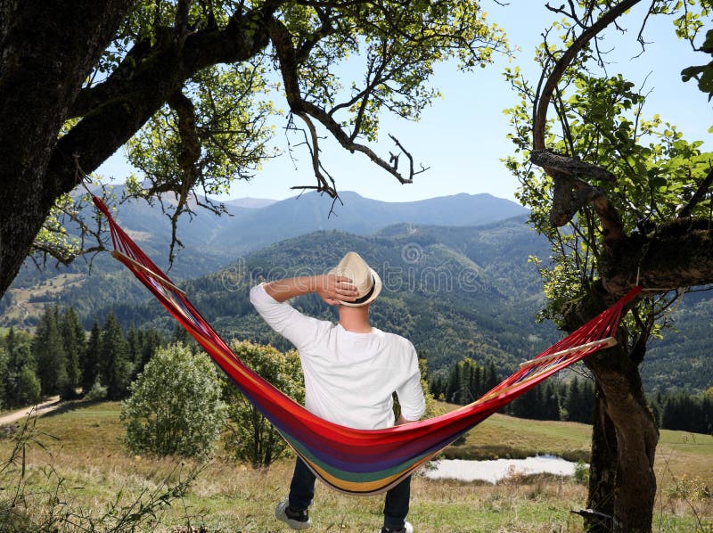 Man Resting in Hammock Outdoors on Sunny Day, Back View Stock Image ...