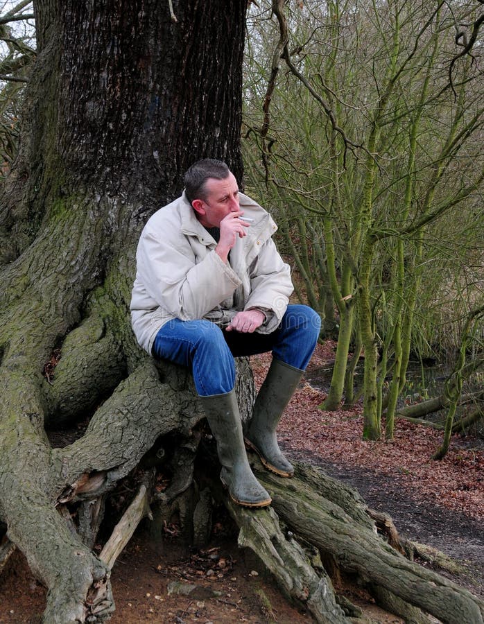 Man resting on a tree stock image. Image of tree, relax - 7833589