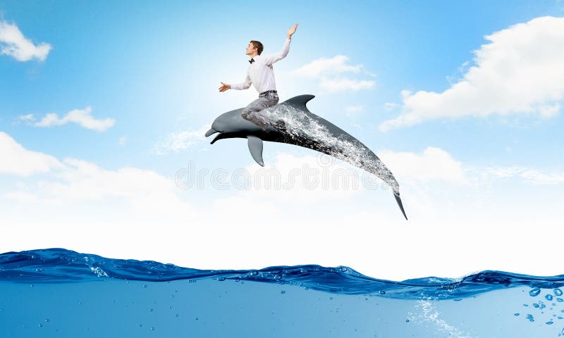 240 Riding Dolphin Stock Photos - Free & Royalty-Free Stock Photos from ...
