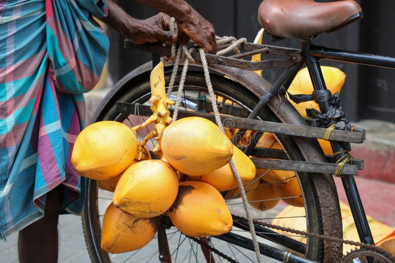 249 Bicycle's Rear Stock Photos - Free & Royalty-Free Stock Photos from ...