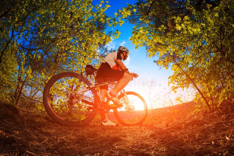 Young Woman riding bicycle stock image. Image of fitness - 25452525