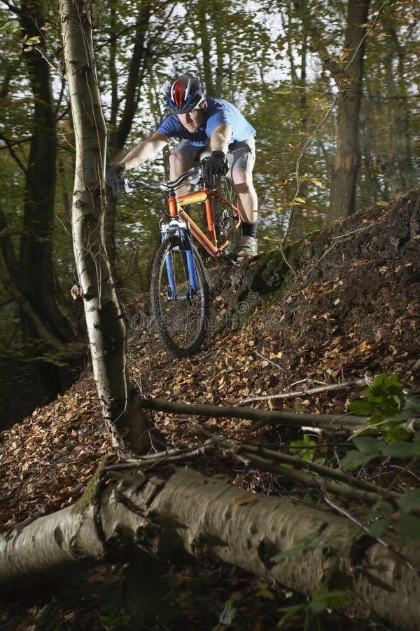 Man Riding Bike through Forest Stock Photo - Image of people, outdoors ...