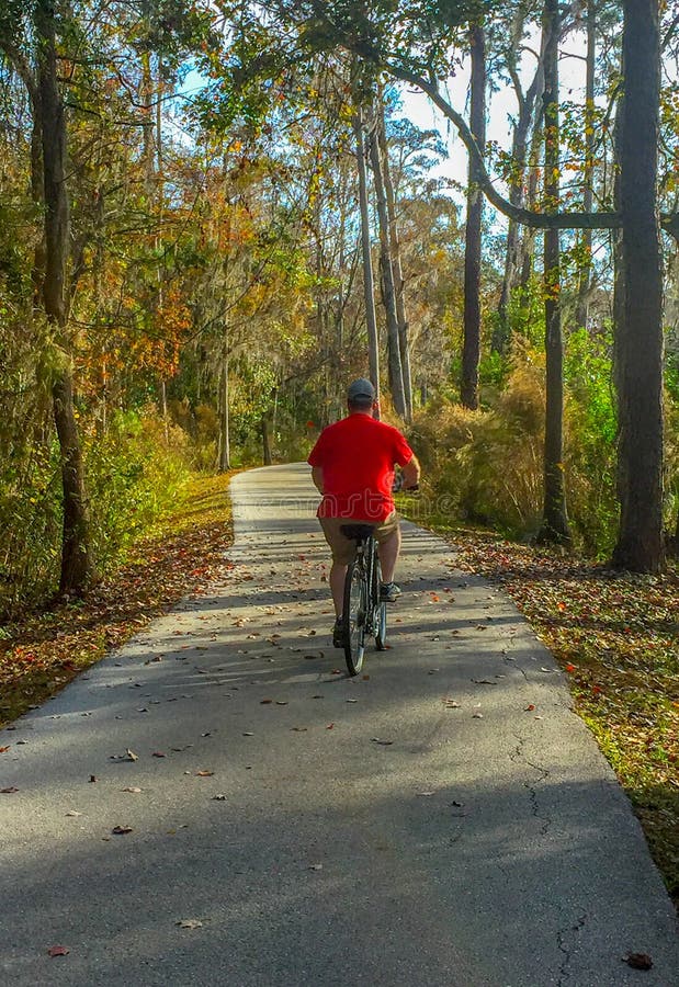 Man Riding Bike through Pathway during the Fall Stock Image - Image of ...
