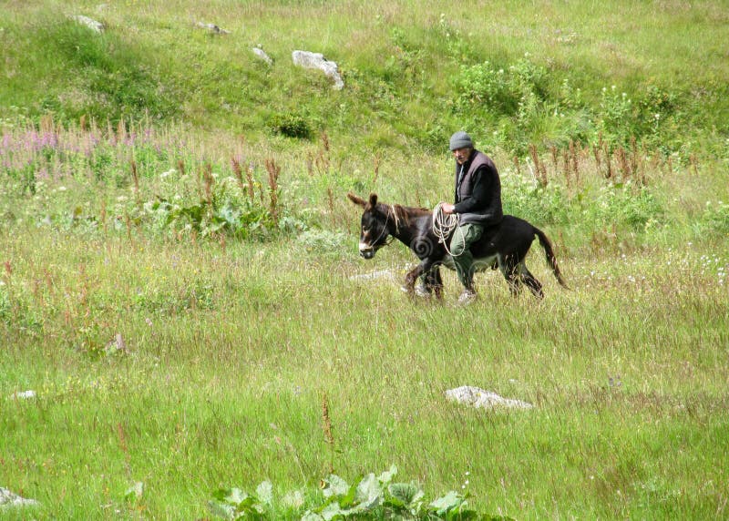 Man riding a donkey editorial photography. Image of altitude - 77900202