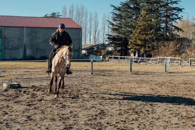 Man riding on the horse stock image. Image of jockey - 287413537