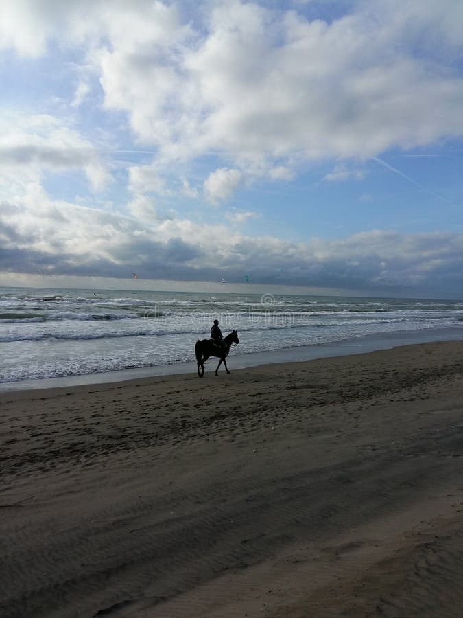 A Man Riding a Horse Alone Along a Beach Stock Image - Image of riding ...