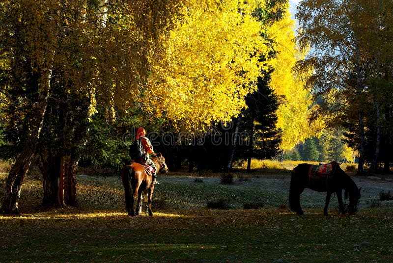 A Man Riding a Horse in Romantic Forest Stock Image - Image of smile ...