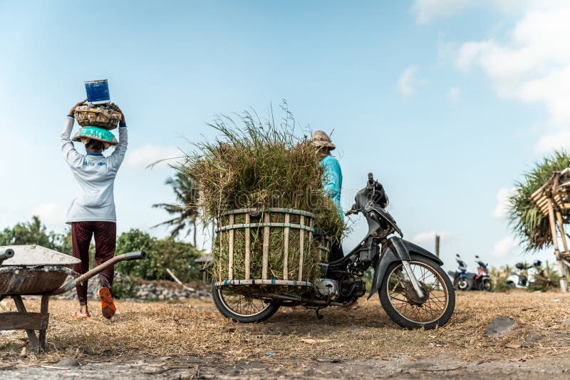 A Man Riding on Top of a Motorcycle with a Basket on the Back Editorial ...