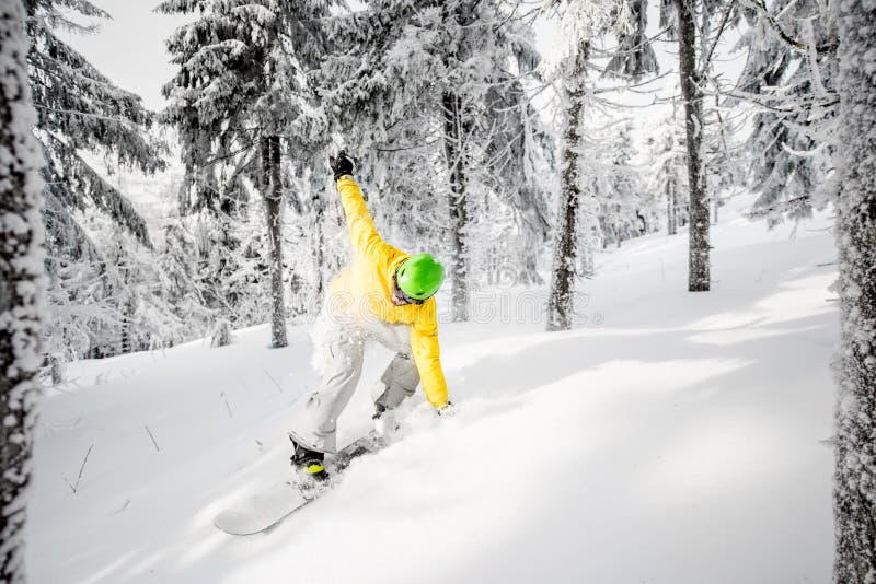 Man Riding a Snowboard in the Snowy Forest Stock Photo - Image of ...