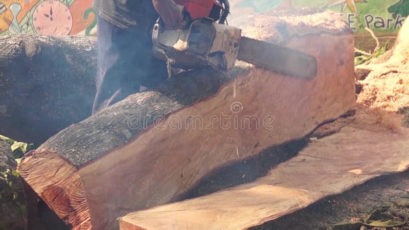 Man Rip Slice Cut Huge Tree Trunk with Chainsaw Stock Video - Video of ...