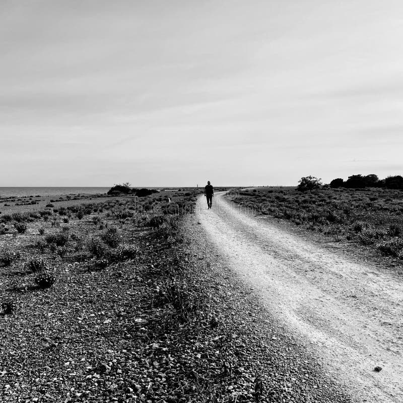 Man on a road stock photo. Image of road, beach, white - 255345914