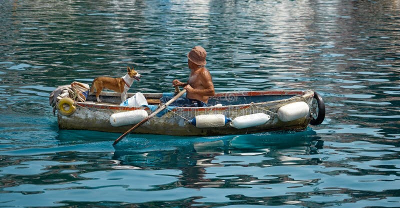 Man Rowing a Boat with a Dog in it Stock Photo - Image of sport ...