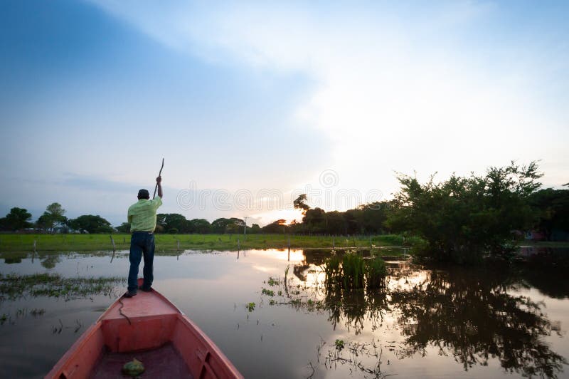 Man Rowing a Bongo in the Apure River at Sunset Stock Photo - Image of ...