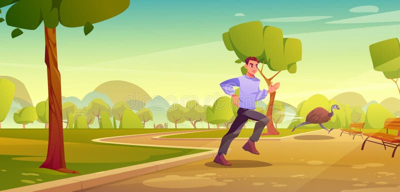 Man Running Along Park Pathway Chasing Emu Stock Vector Illustration Of Bird Safari 345633765