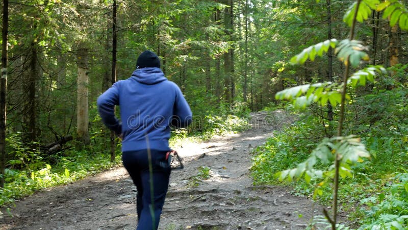 Man Running in Forest. Athletic Man Running in Forest Trail. Man ...