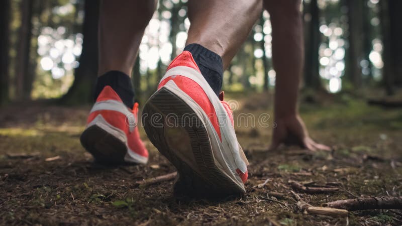 Man Running between Forest Trees Stock Photo - Image of gymnast ...