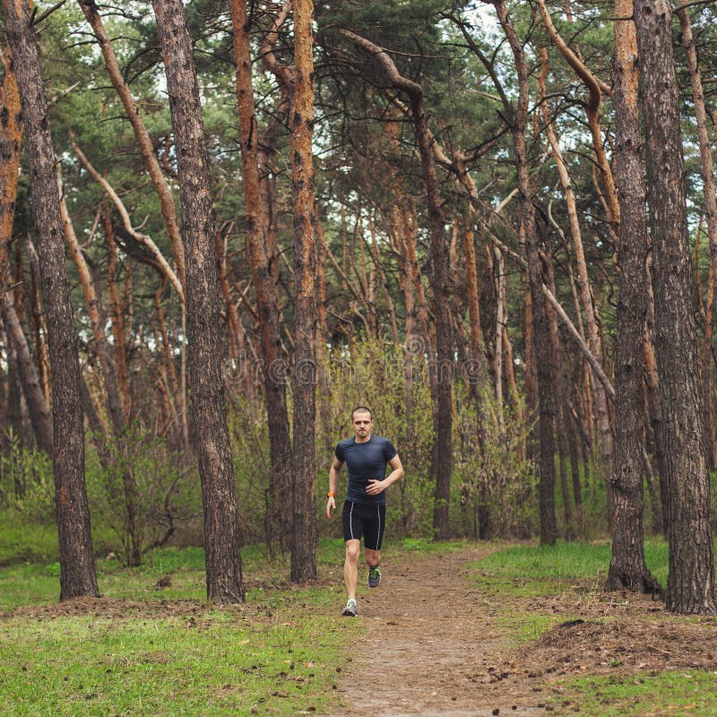 Man Running in the Pine Summer Forest Stock Image - Image of fitness ...
