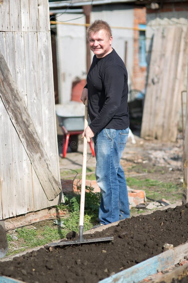 A Man Runs a Rake on the Ground Stock Photo - Image of leaves, nature ...
