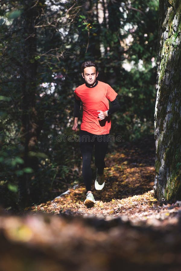 A man runs in the woods stock photo. Image of sport - 345840404