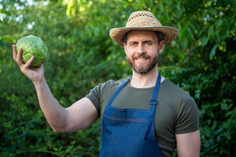 Man Rural Worker in Straw Hat with Cabbage Vegetable Stock Photo ...