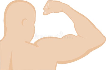 Flexing Muscle Cartoon Stock Illustrations – 1,675 Flexing Muscle ...