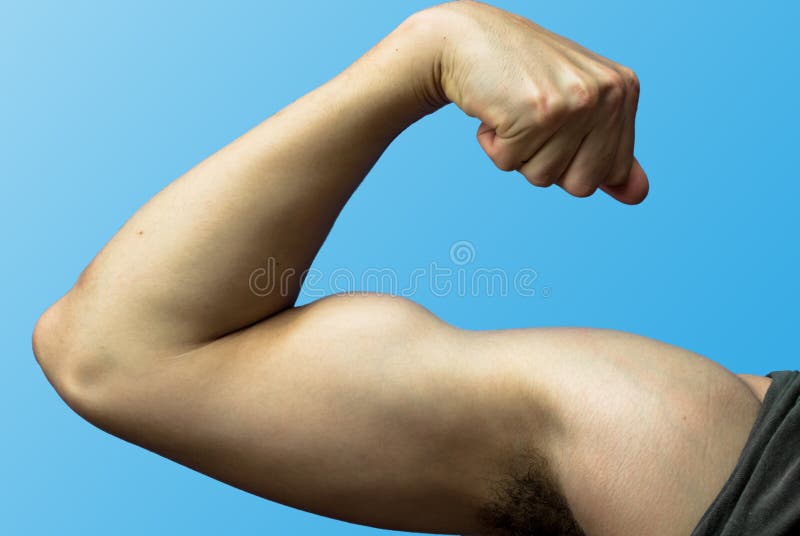 Man`s Arm Showing Biceps Muscle Stock Image - Image of lifestyle ...