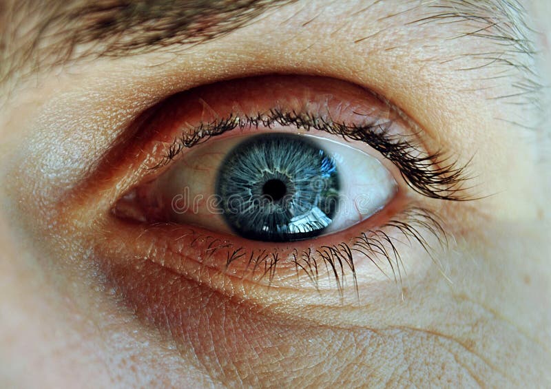 Man s blue eye stock image. Image of eyeball, glance - 20609641