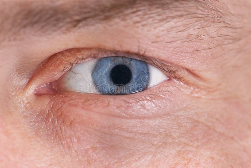 Man s blue eye stock image. Image of confident, white - 21956081